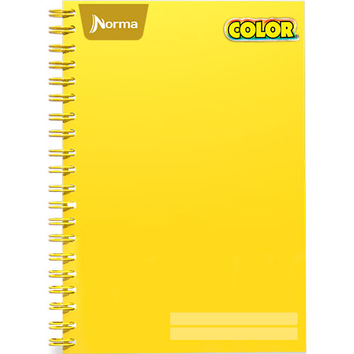 Cuaderno Profesional Norma Color Cuadro Chico 100 Hojas Norma