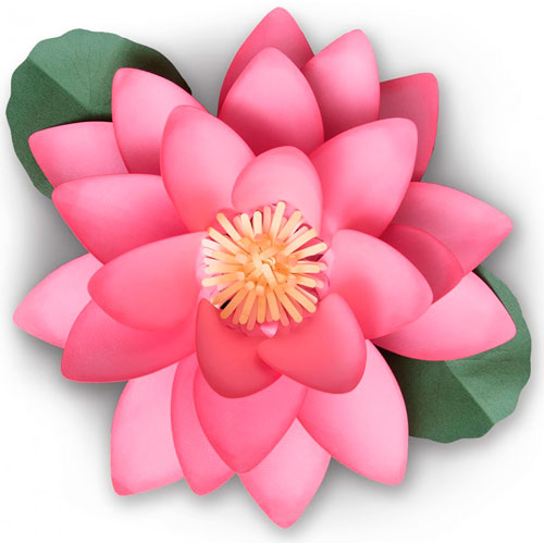 DADO SIZZIX DAVID TUTERA FLOR DE LOTO | Sizzix | Manualidades | Dados ...