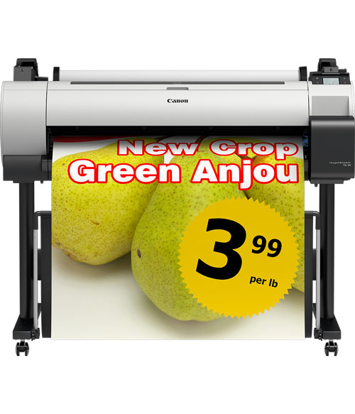 Plotter Canon Ipf Ta-30 36 Pulgadas Con Pedestal | Papelería Lumen
