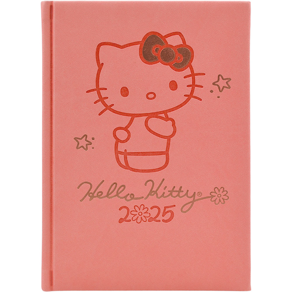 Agenda Juvenil Danpex Hello Kitty Rosa Dia Por Pagina 2025