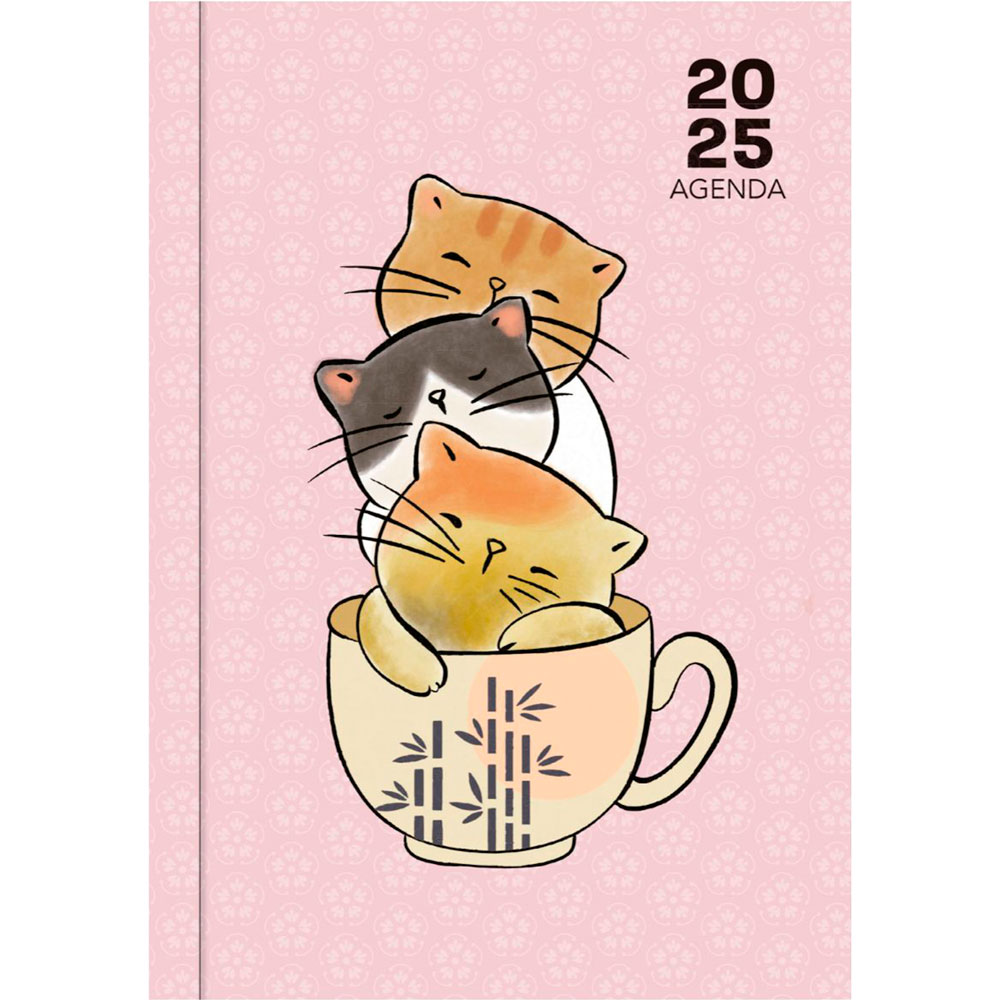 Agenda Juvenil Gatitos 15X21Cm Semana A La Vista | Lumen