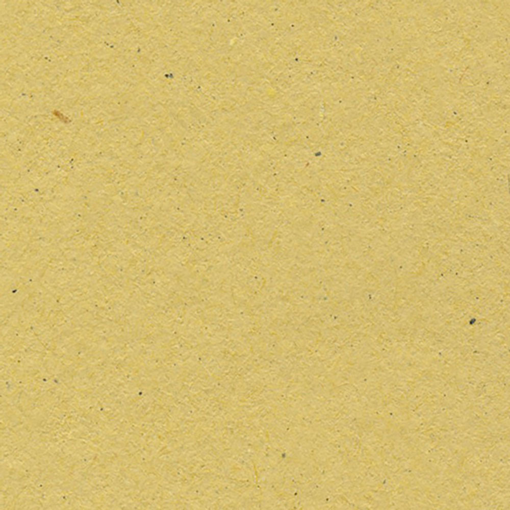 Cartoncillo Premium Rayter Canario 50X70 CM 120 G | Papelería Lumen