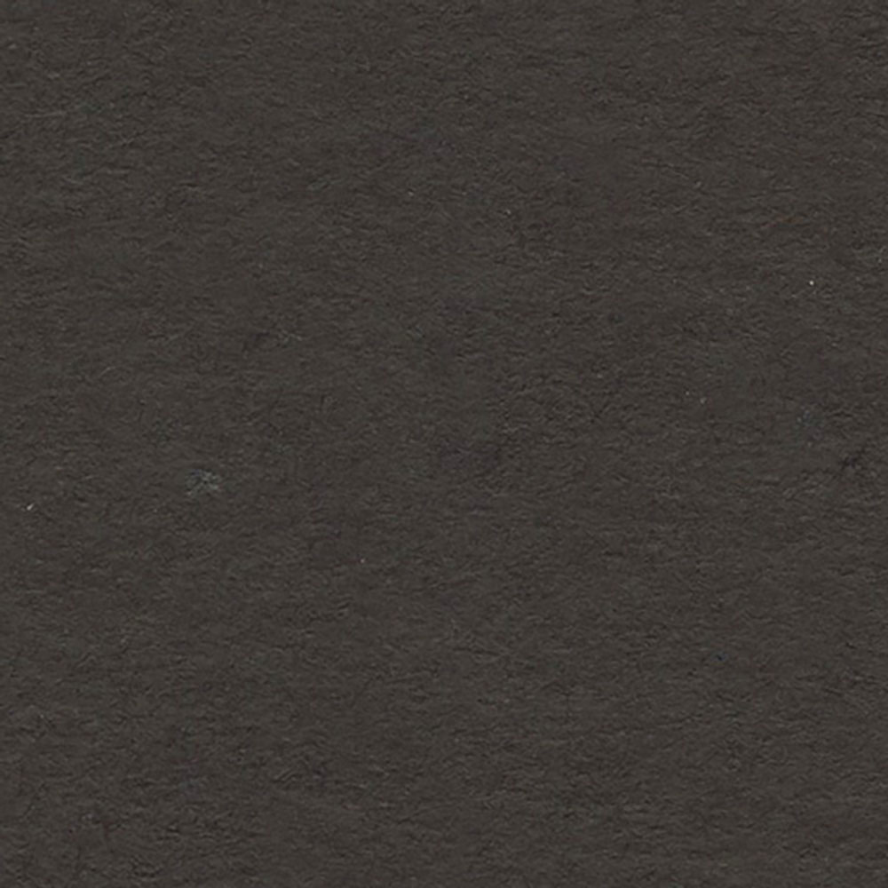 Cartoncillo Premium Rayter Negro 50X70 CM 120 G | Papelería Lumen